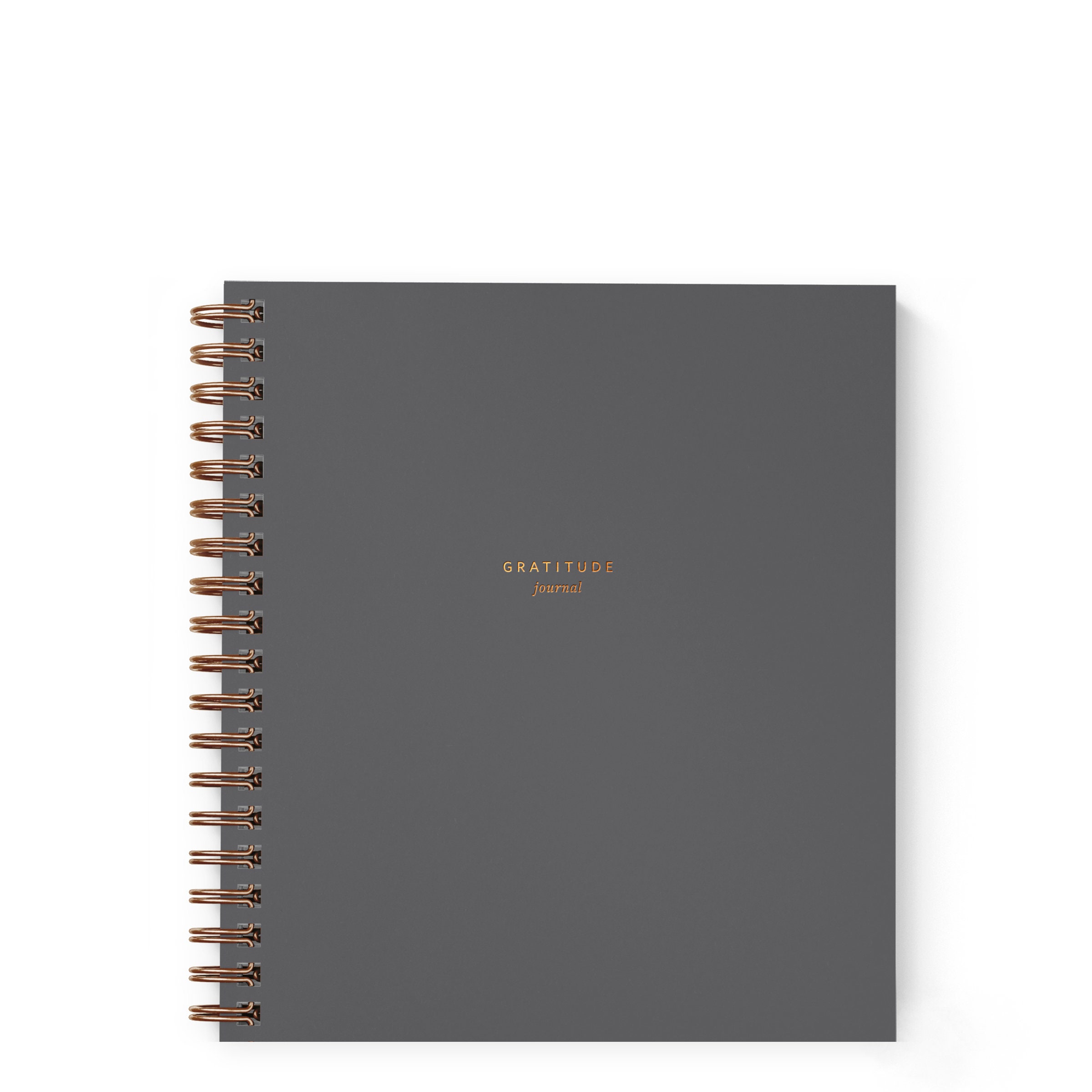 Mini Gratitude Journal // Daily Journal, Mindfulness Journal, Daily ...