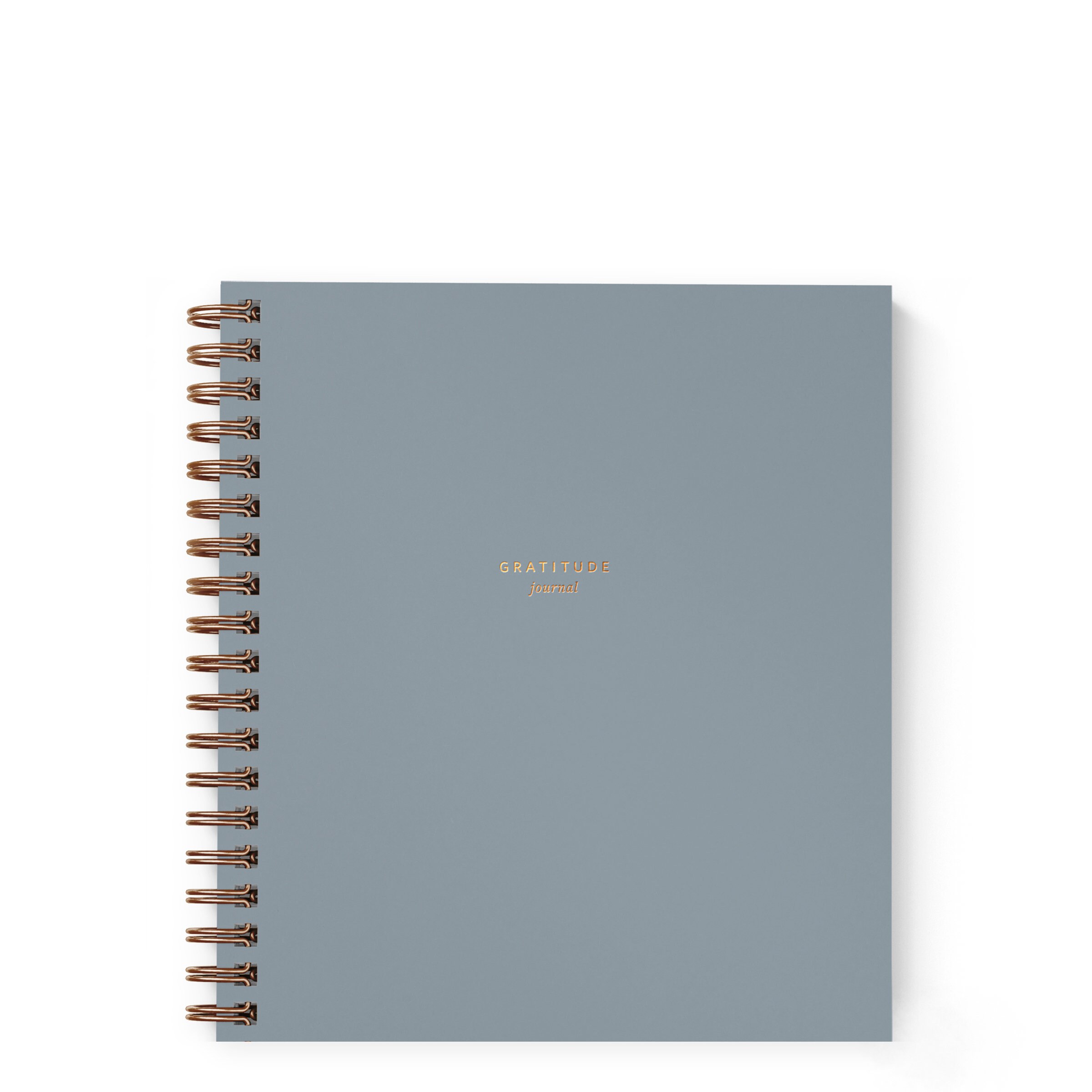 Mini Gratitude Journal // Daily Journal, Mindfulness Journal, Daily ...