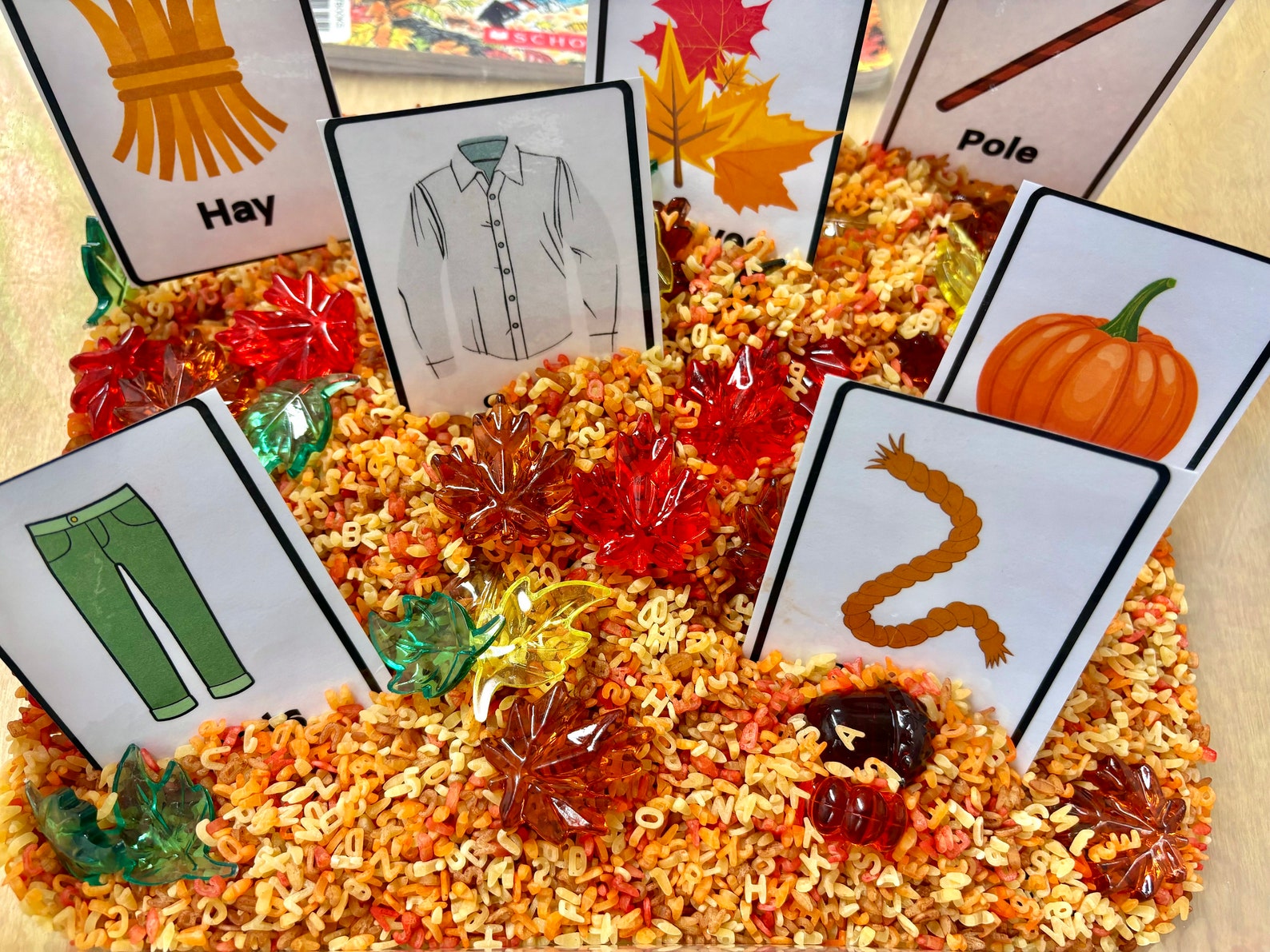 Autumn Alphabet Sensory Bin fall Theme Alphabet Macaroni - Etsy