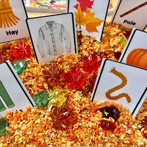 Autumn Alphabet Sensory Bin fall Theme Alphabet Macaroni - Etsy