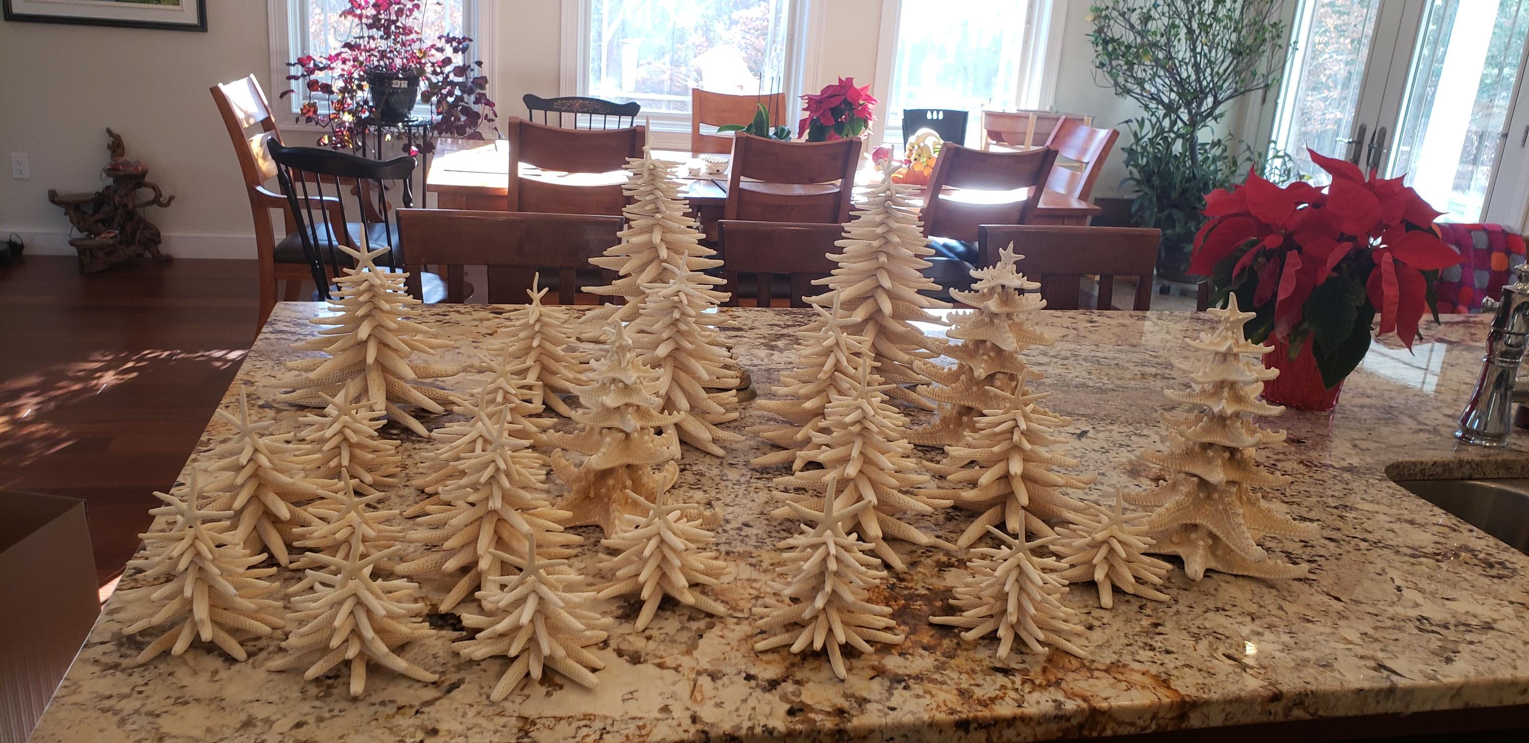 FREE SHIPPING! Natural Starfish Sea Star Tree Perfect for Any Costal ...