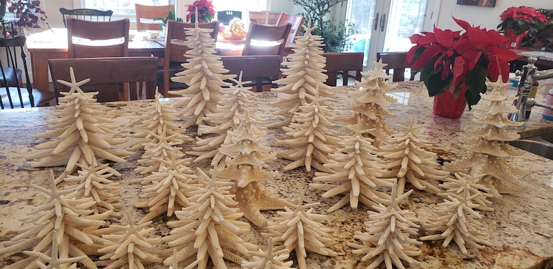 FREE SHIPPING! Natural Starfish Sea Star Tree Perfect for Any Costal ...
