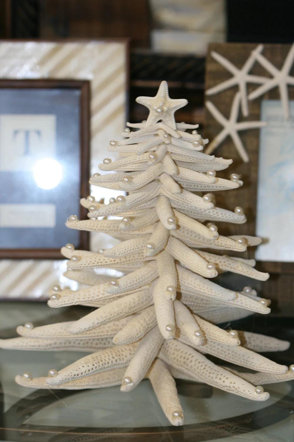 6 Inches Natural Starfish Sea Star Tree - Etsy