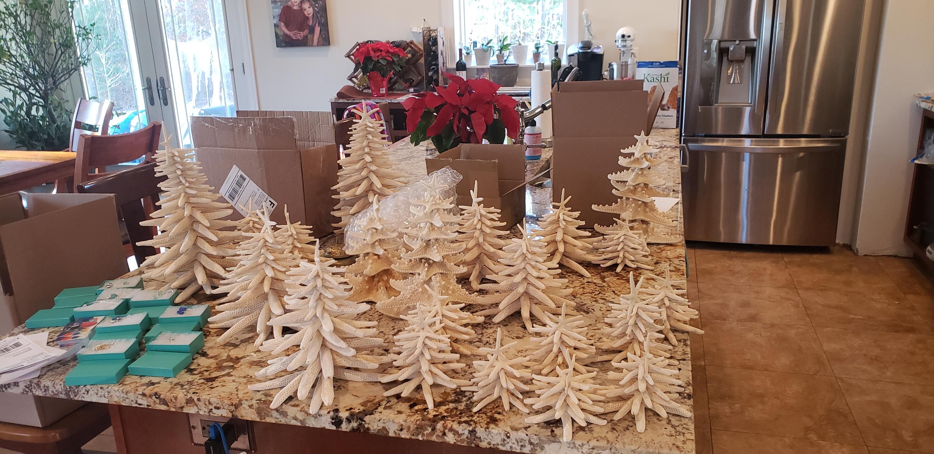 FREE SHIPPING! Natural Starfish Sea Star Tree Perfect for Any Costal ...