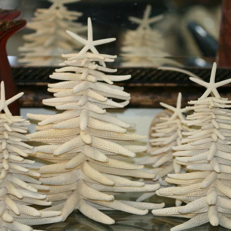 Starfish Home Decor - Etsy