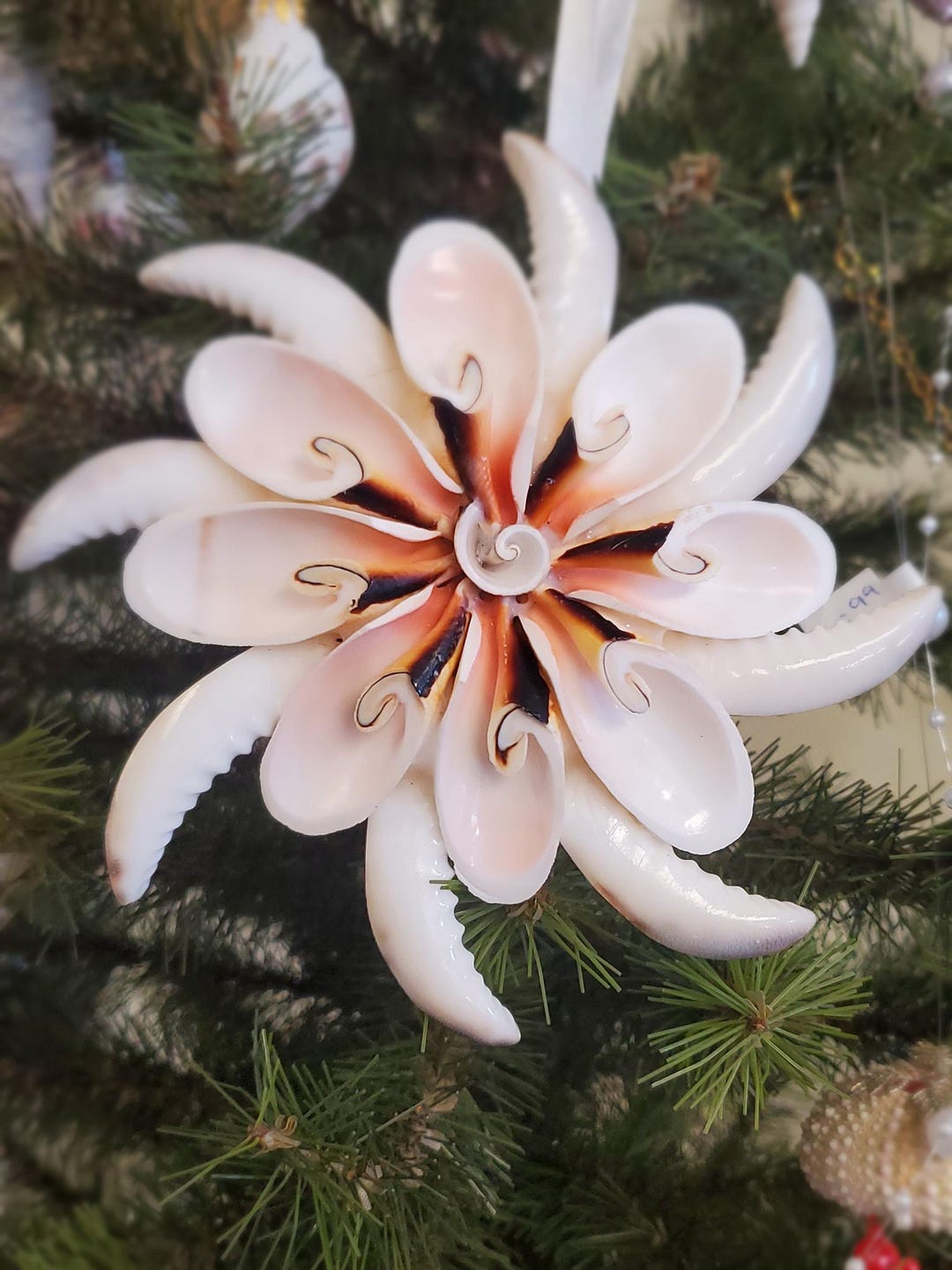 Snowflake Seashell Hand Crafted Christmas Ornament / Handmade Seashell ...
