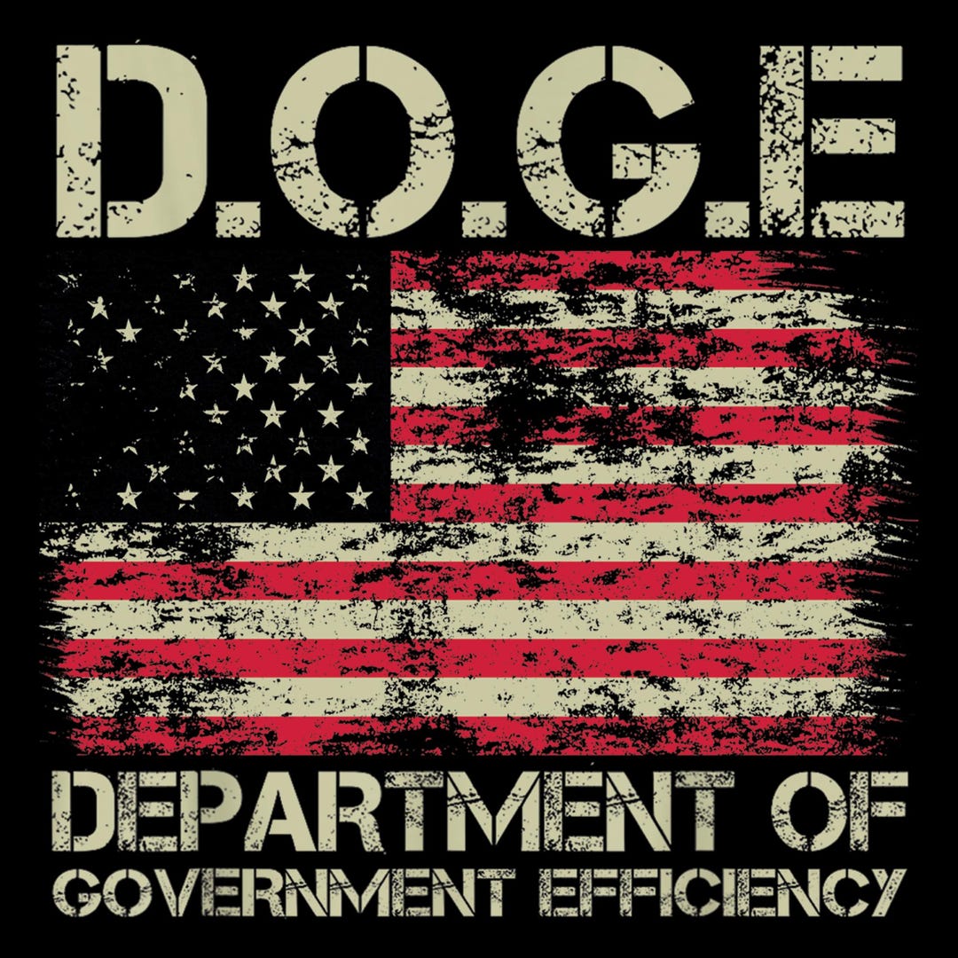 DOGE D.O.G.E T-shirt Design PNG | Vintage Distressed American Flag ...