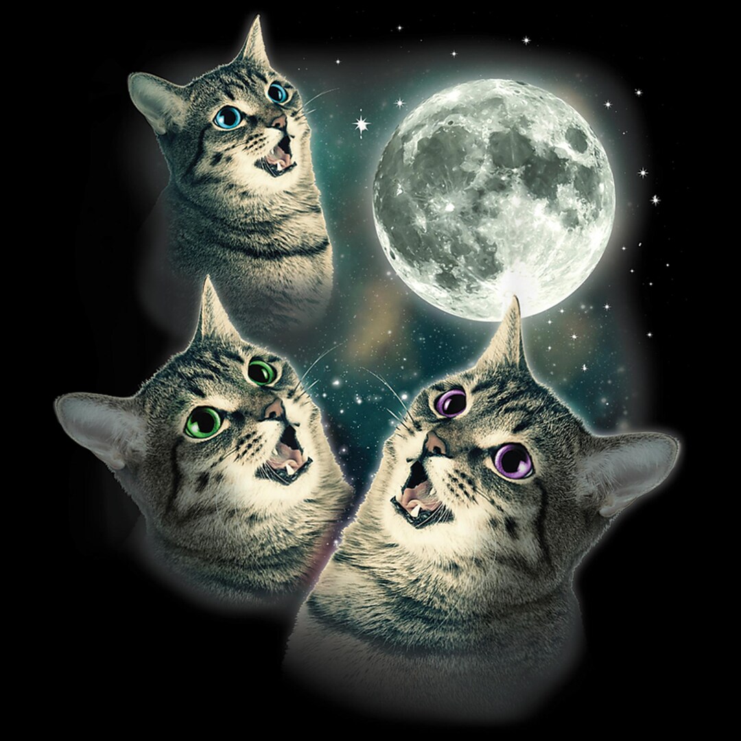 Funny Three Cats Howling at the Moon PNG | Digital Cat Meme Art |space ...