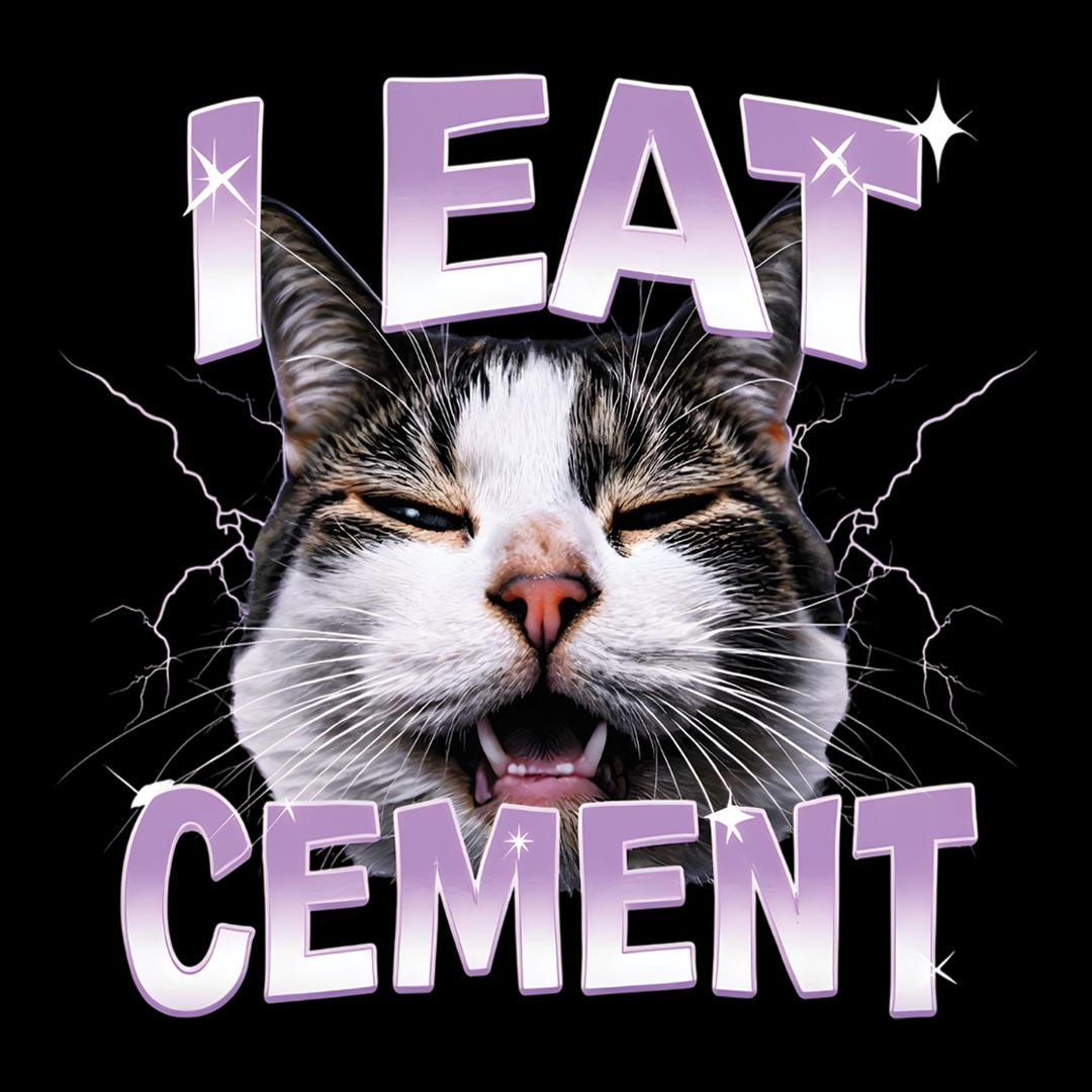 2 Cat PNG Design, I Eat Cement Cursed Cat Funny Oddly Specific Dank ...