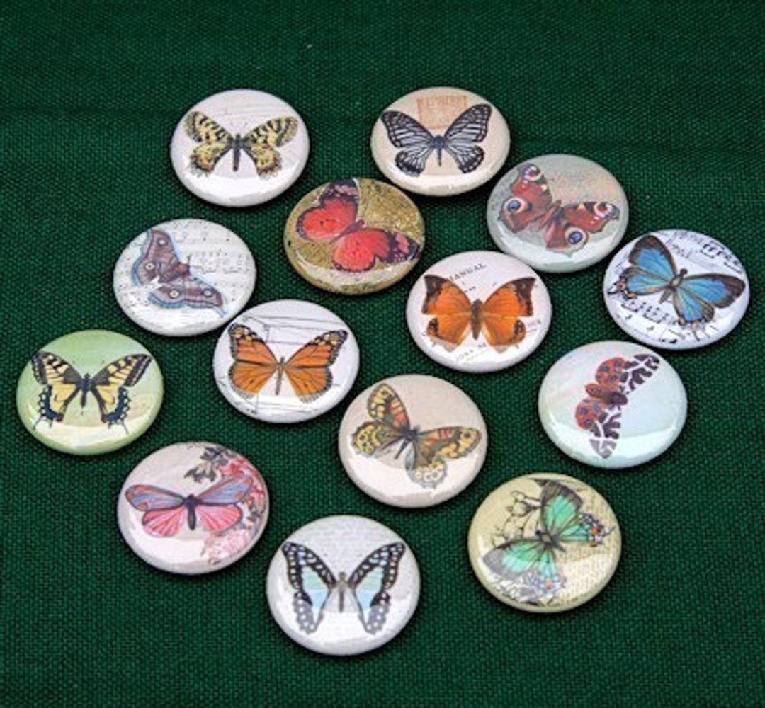 Butterflies - Set of 14 - Buttons Pinbacks Badges 1 Inch Flatbacks or ...