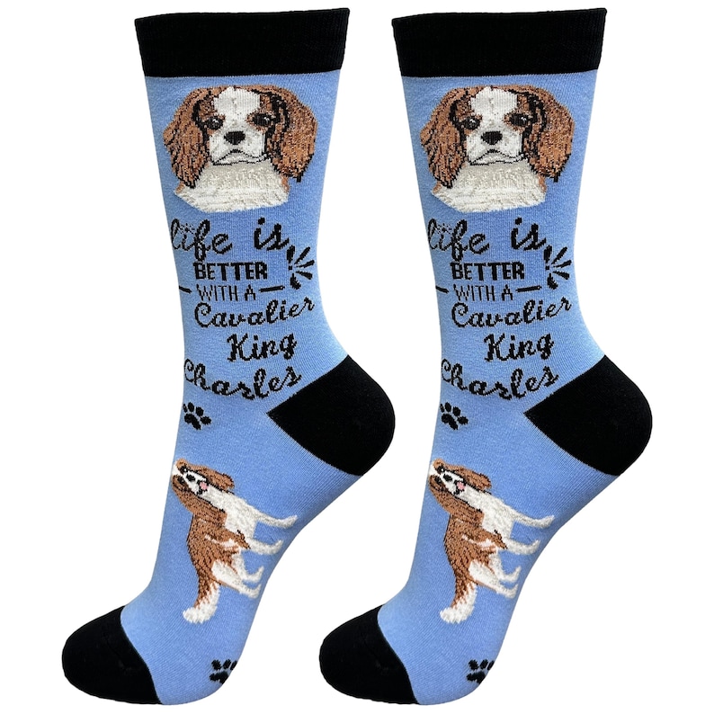 Cavalier King Charles Life is Better Socks – Premium Quality Comfy ...