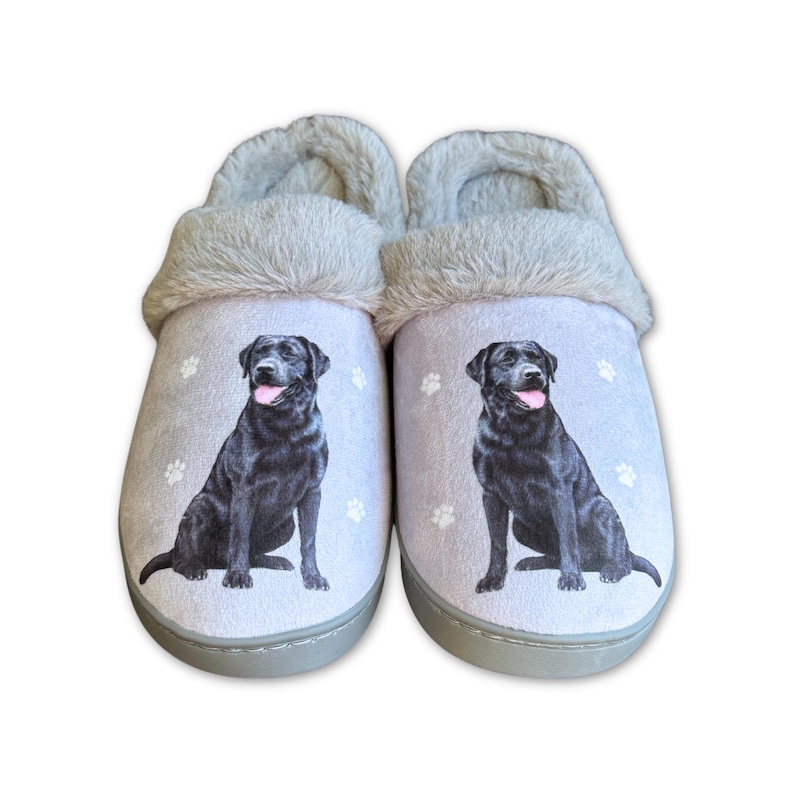 Top in Memory Dog Gifts - 60+ Gift Ideas for 2025