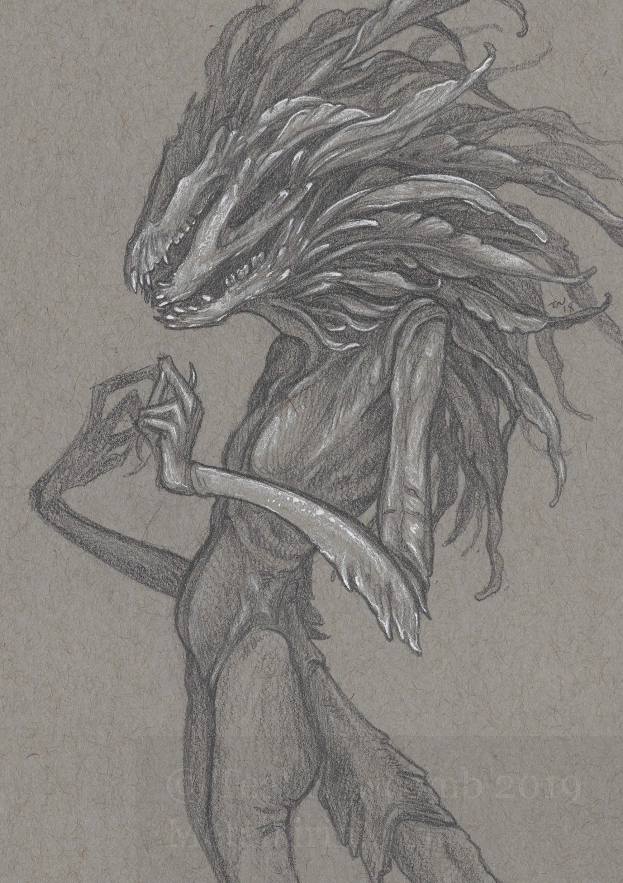 Scylla Monster Drawing