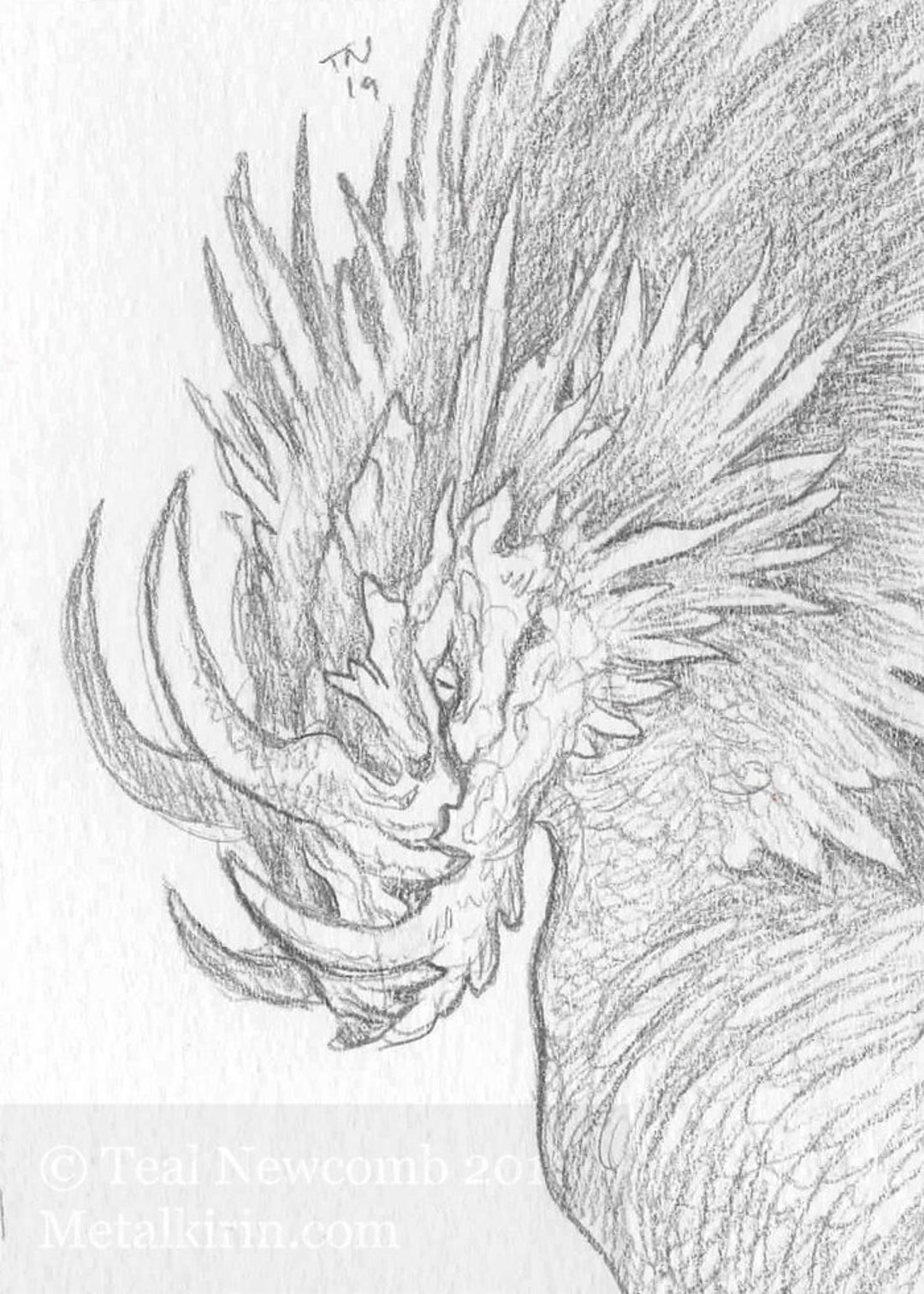 Original ACEO Sketch Card / Boar Dragon Study - Etsy
