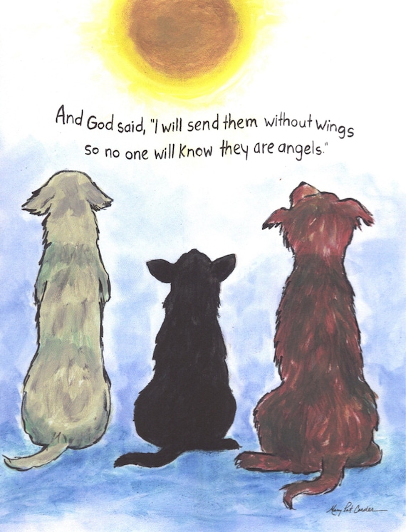 Dog Angel Quotes