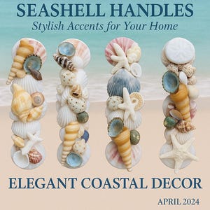 Seashell Cabinet Handle: Handmade Coastal Nautical Furniture Pull - Etsy