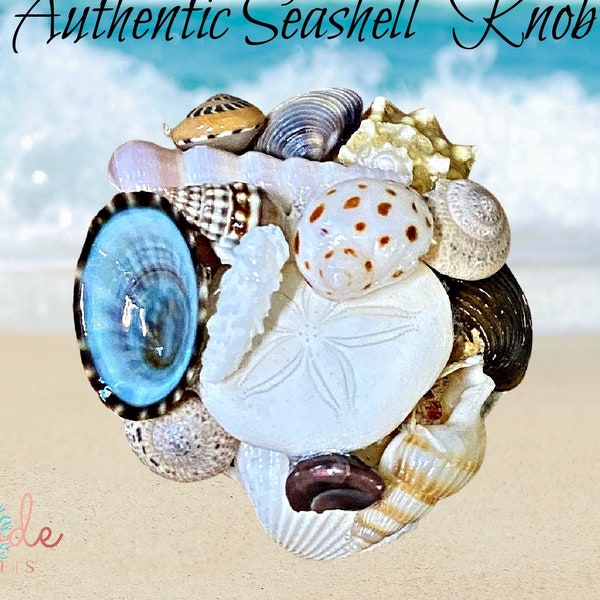 Seashell Knobs - Etsy