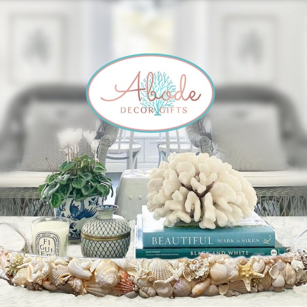 Seashell Centerpiece - Etsy