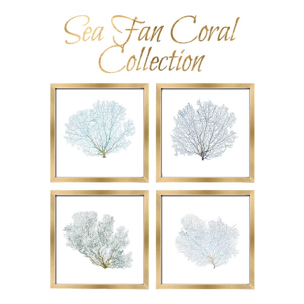 Coral Picture Frame - Etsy