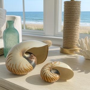 nautical table nautilus