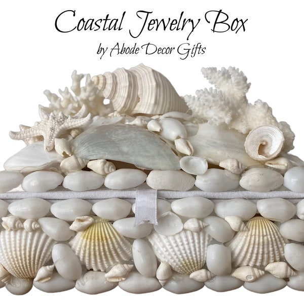 Seashell Display Box - Etsy