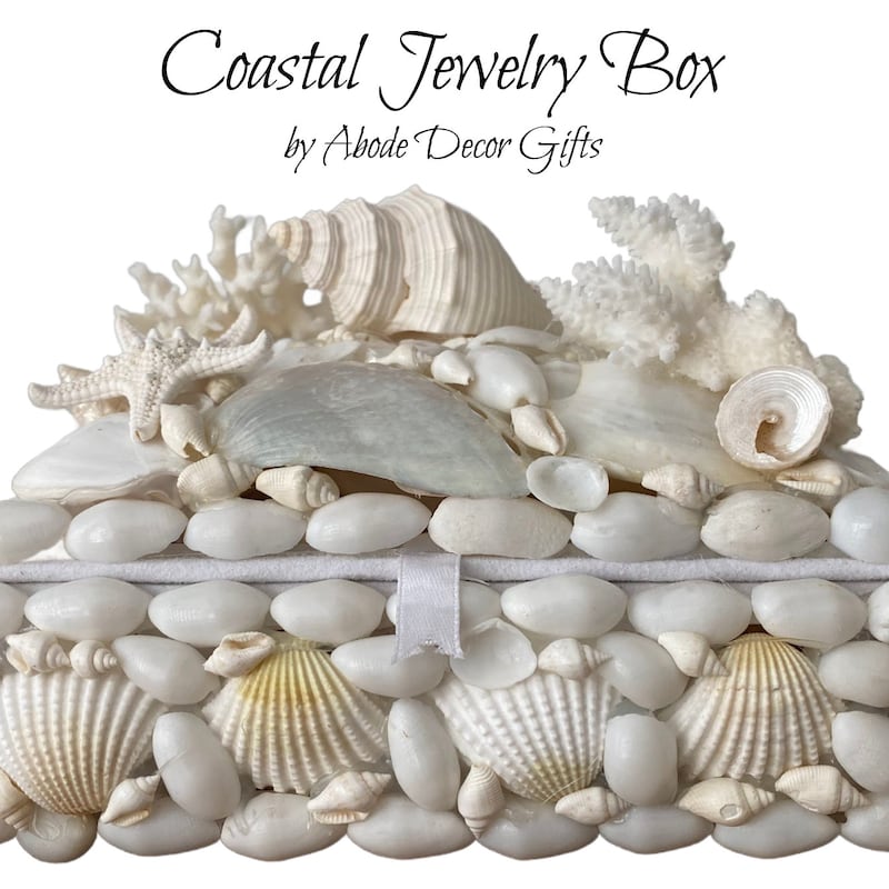 Seashell Jewelry Box - Etsy