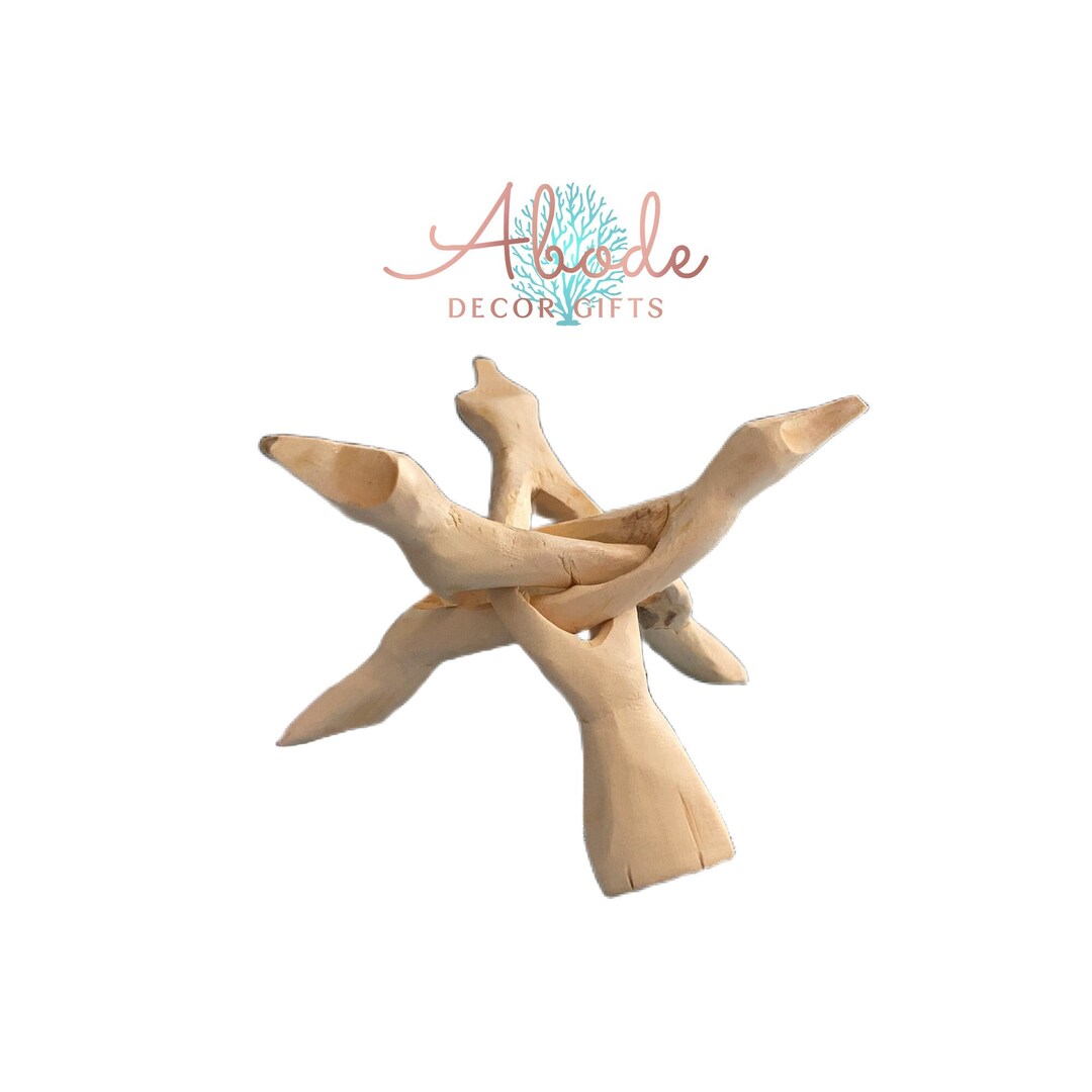 Wooden Stands for Coral Natural Silver Gold Seashell Collector Nautical ...