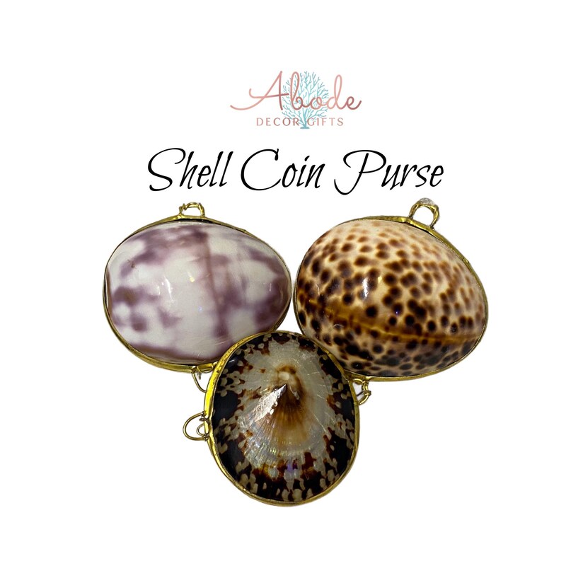 Shell Coin Purse - Etsy