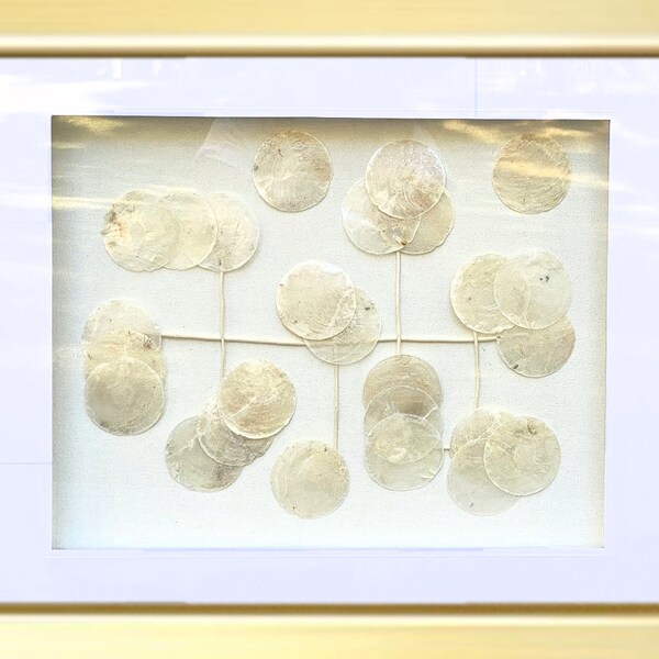 Shell Art in Frame - Etsy