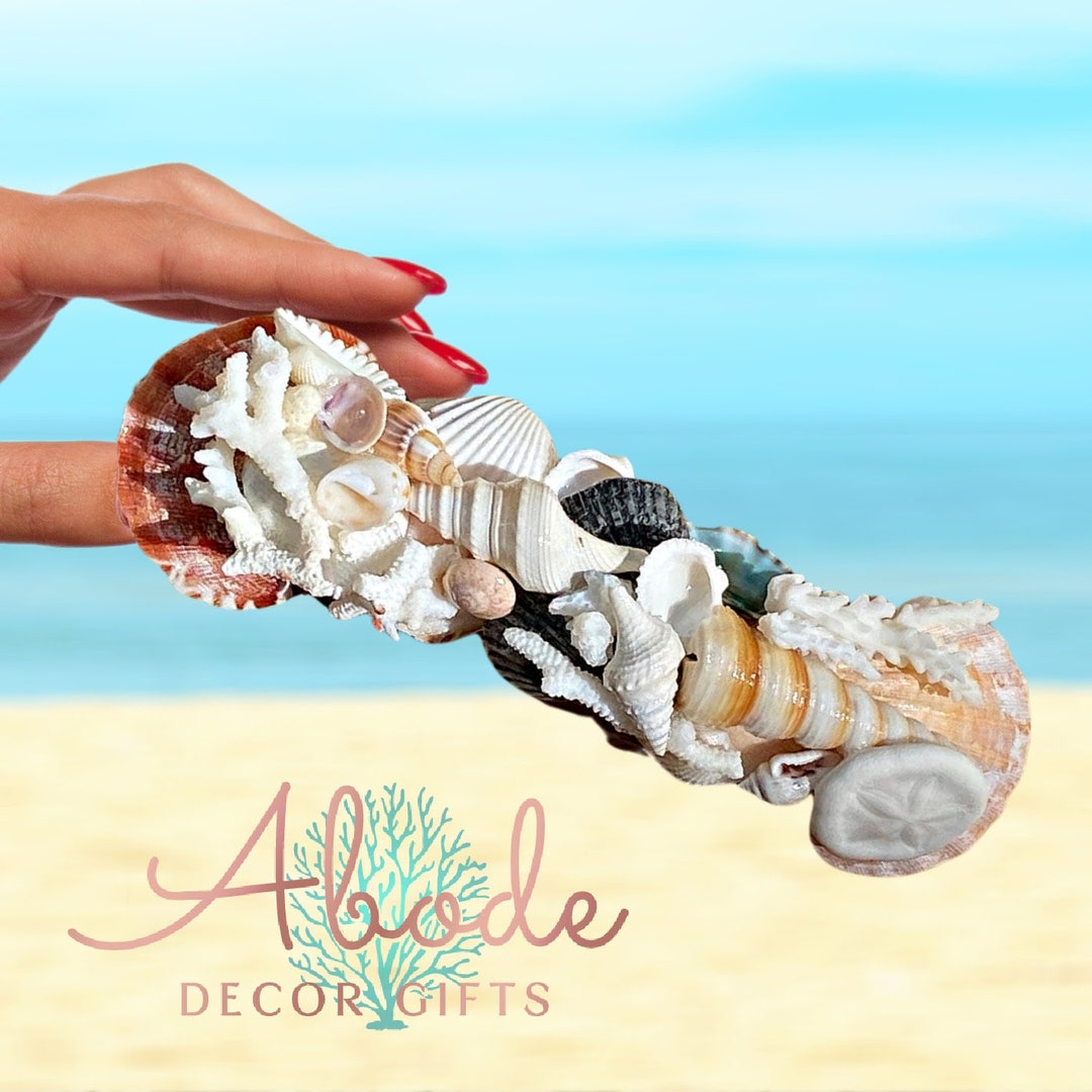 Seashell Cabinet Handle: Handmade Coastal Nautical Furniture Pull - Etsy