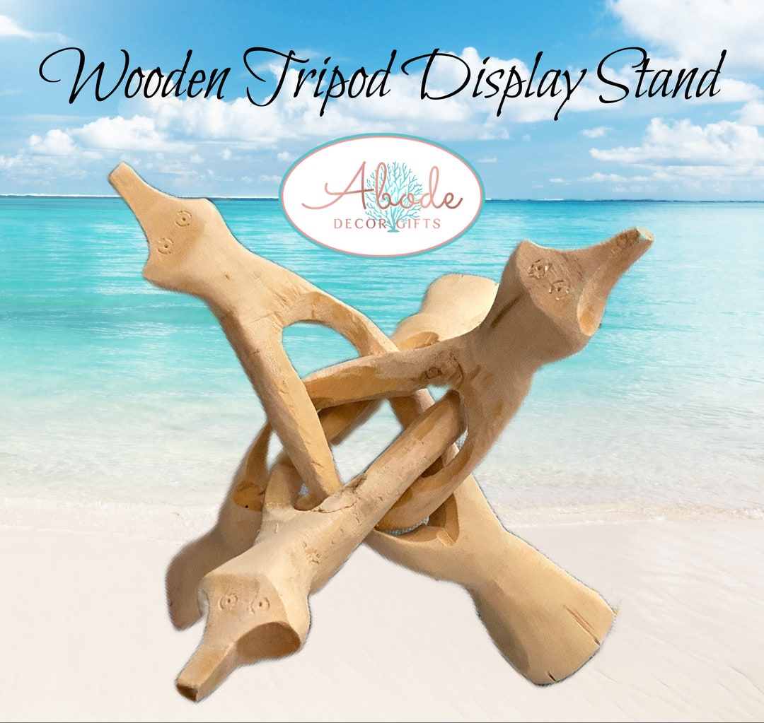 Wooden Stands for Coral Natural Silver Gold Seashell Collector Nautical ...