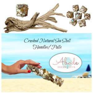 Natural CRUSHED Seashell Cabinet Handles Pulls and Knobs for Coastal ...