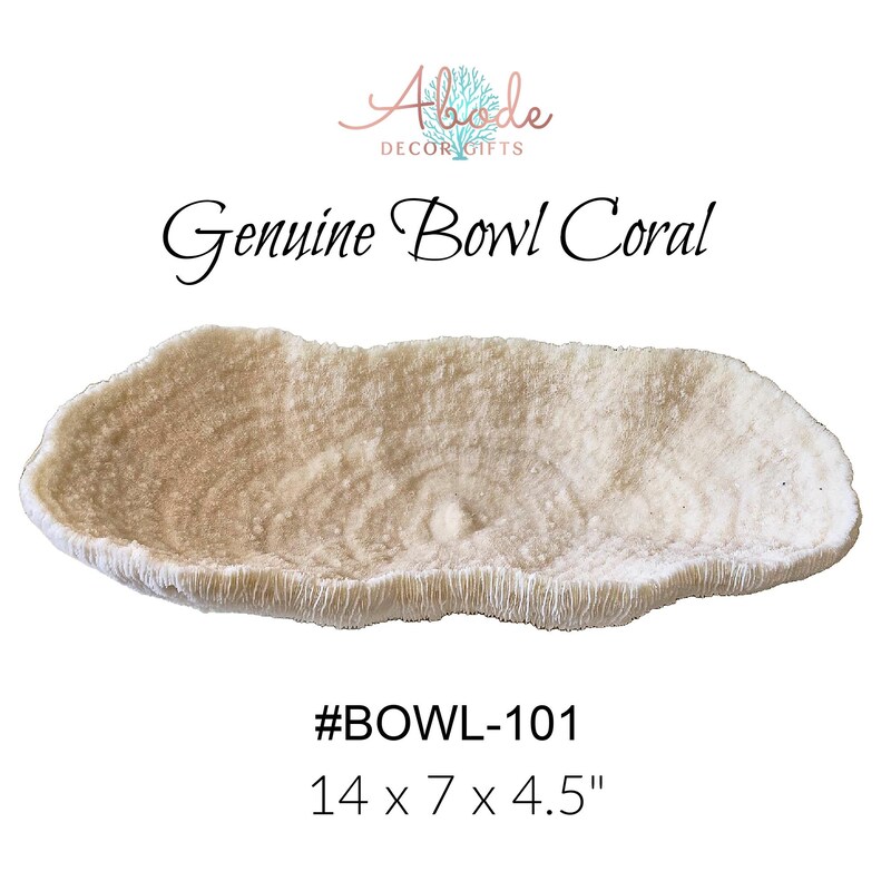 Coral Bowl - Etsy