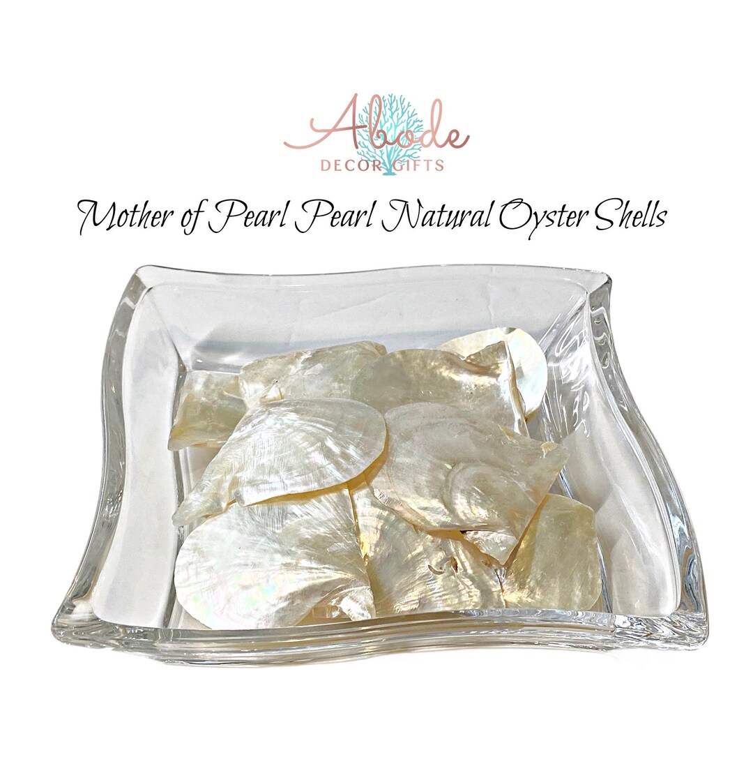Mother of Pearl Polished Oyster Halves for Nautical Coastal and Beach ...
