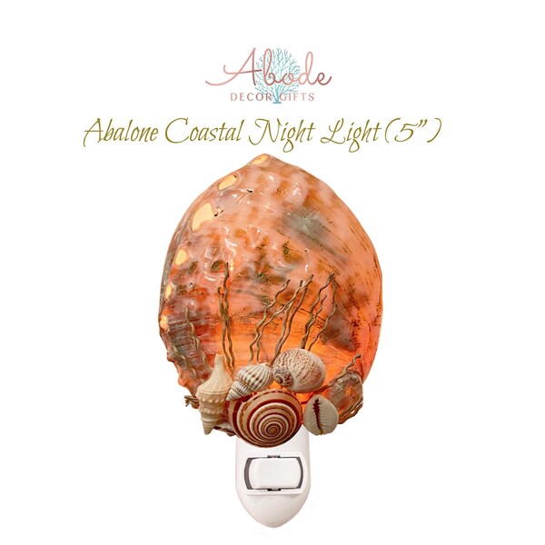 Seashell Night Light - Etsy