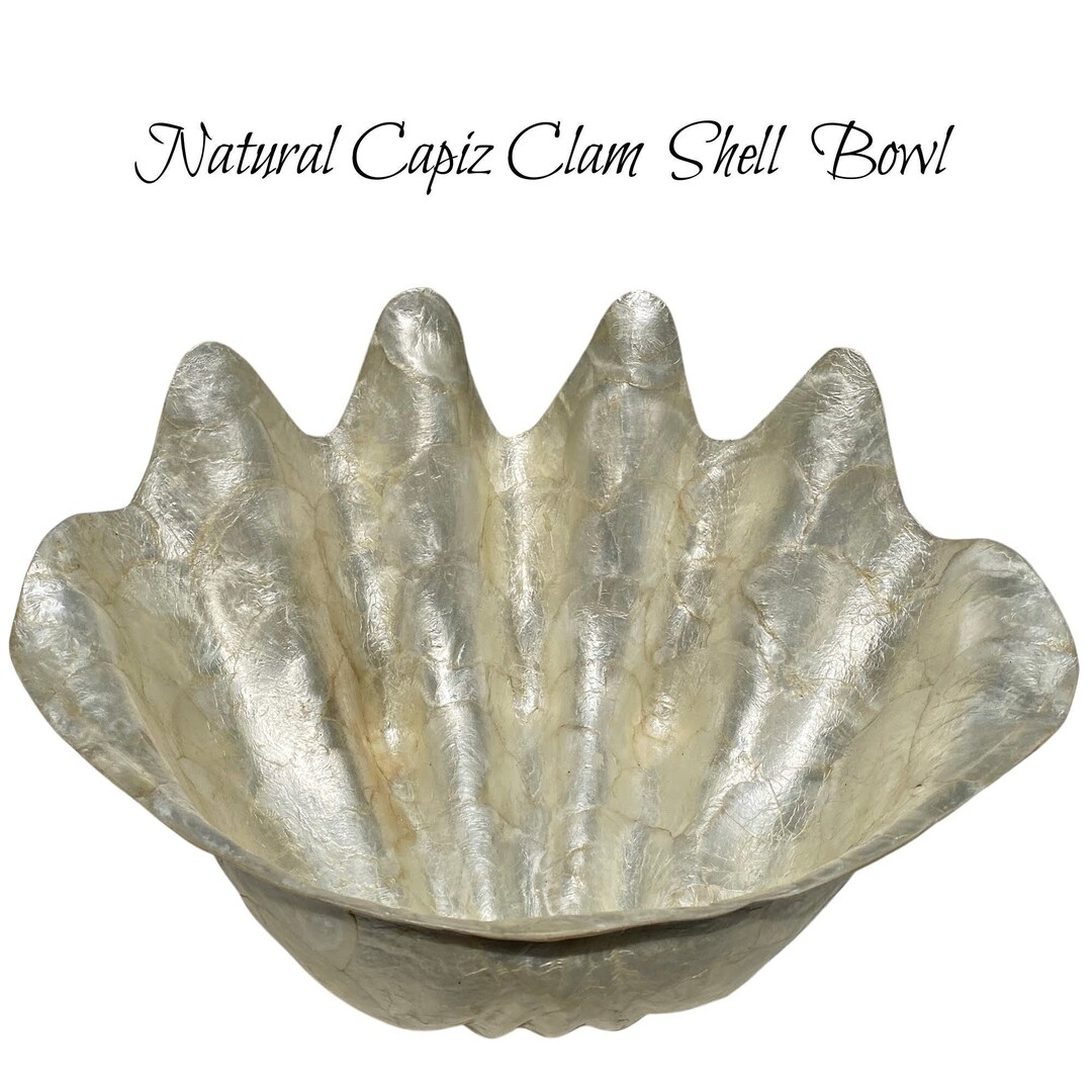 Natural Capiz Clam Shell Bowl Extra Large - Etsy
