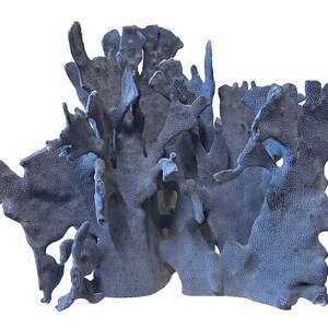 Natural Blue Reef Coral A-15 18 X 10.5 X 13 Authentic PREMIUM SPECIMEN ...