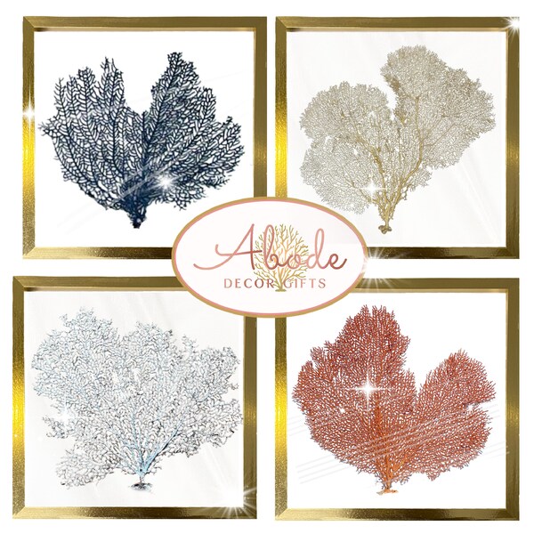 Coral Picture Frame - Etsy