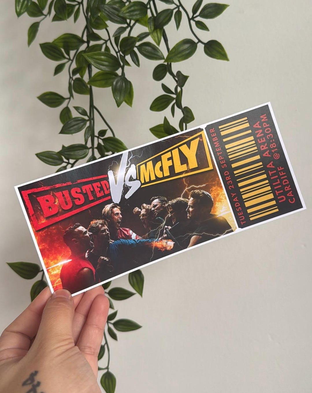 Busted Vs Mcfly Concert Ticket Surprise - Etsy