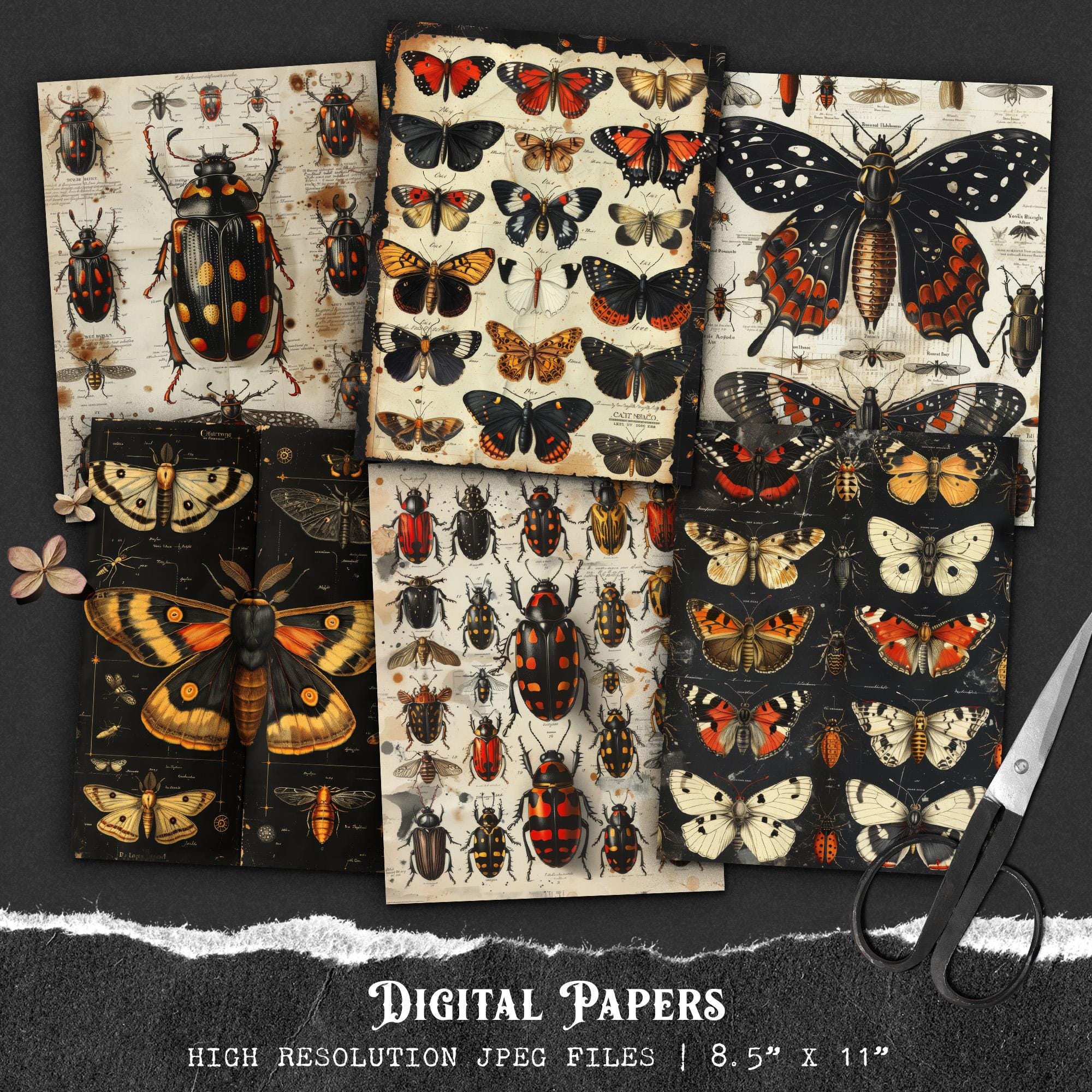 Antique Insect Junk Journal Ephemera Pages, Vintage Entomology Digital ...