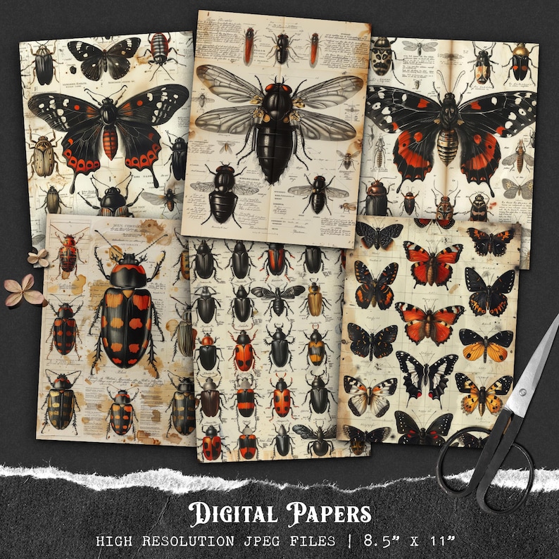 Antique Insect Junk Journal Ephemera Pages, Vintage Entomology Digital ...
