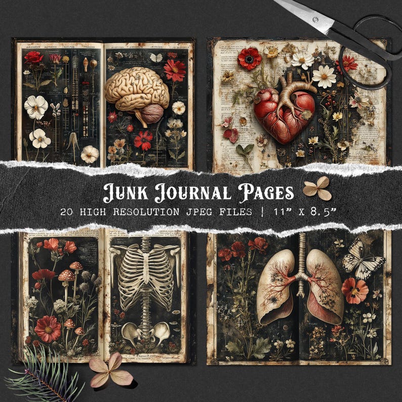 Antique Anatomy Junk Journal Pages, Printable Vintage Medical Ephemera ...