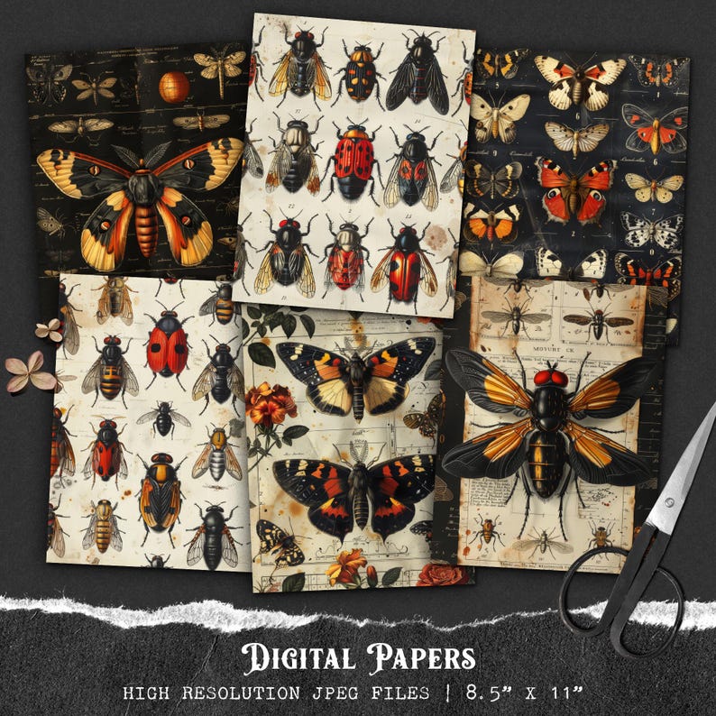 Antique Insect Junk Journal Ephemera Pages, Vintage Entomology Digital ...