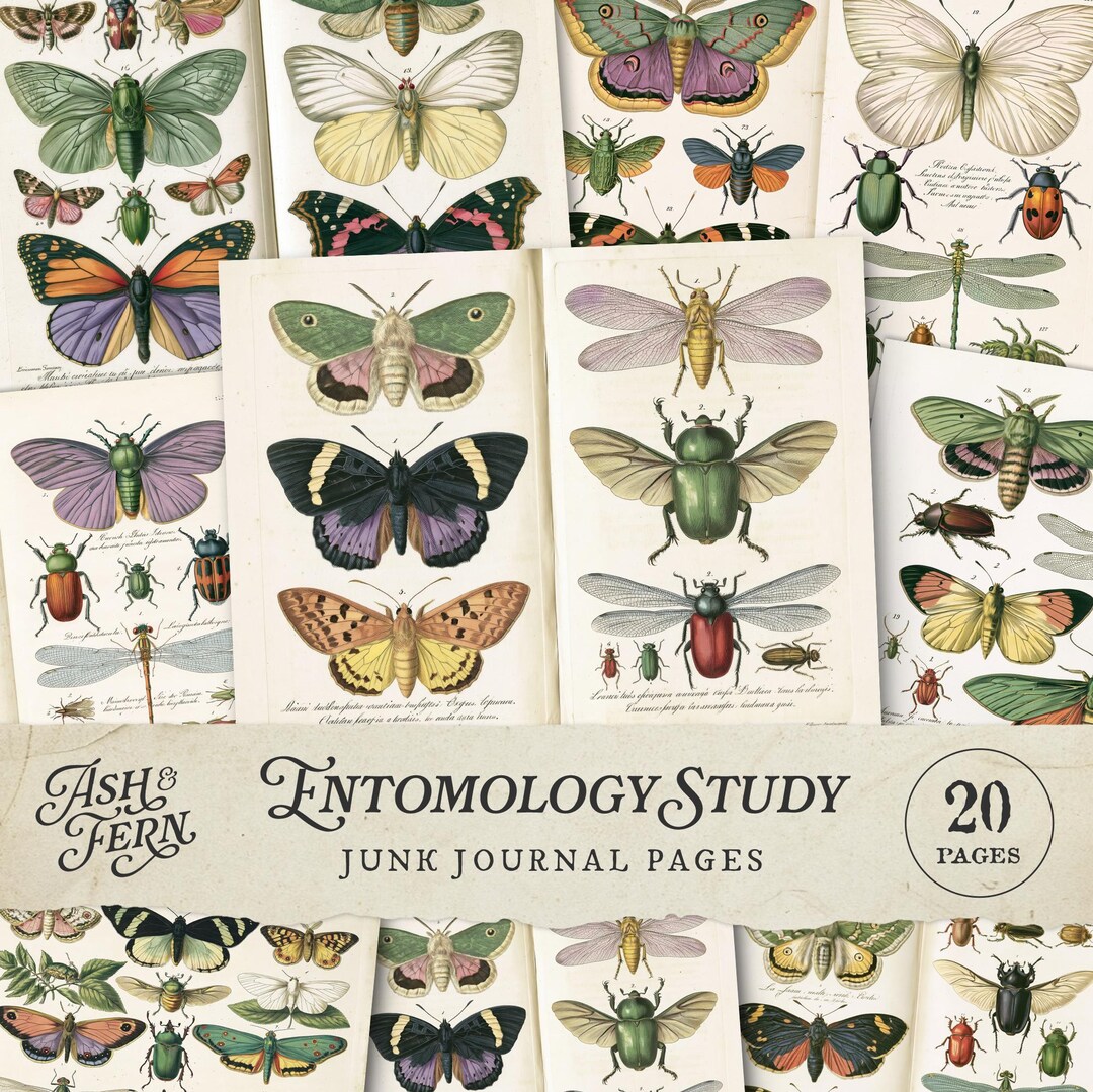 Entomology Study Junk Journal Pages, Vintage Butterfly Insect Printable ...