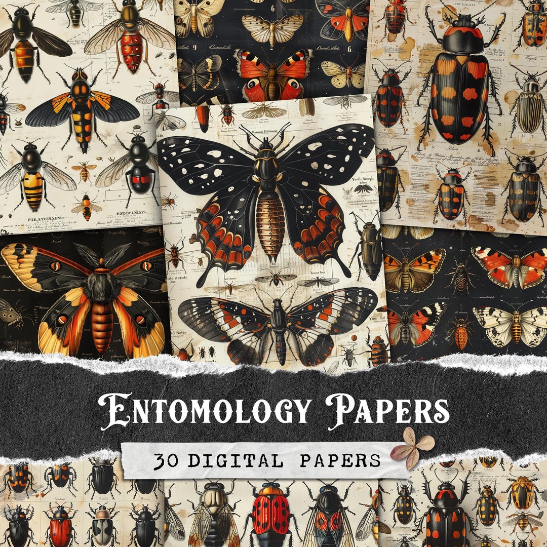 Antique Insect Junk Journal Ephemera Pages, Vintage Entomology Digital ...