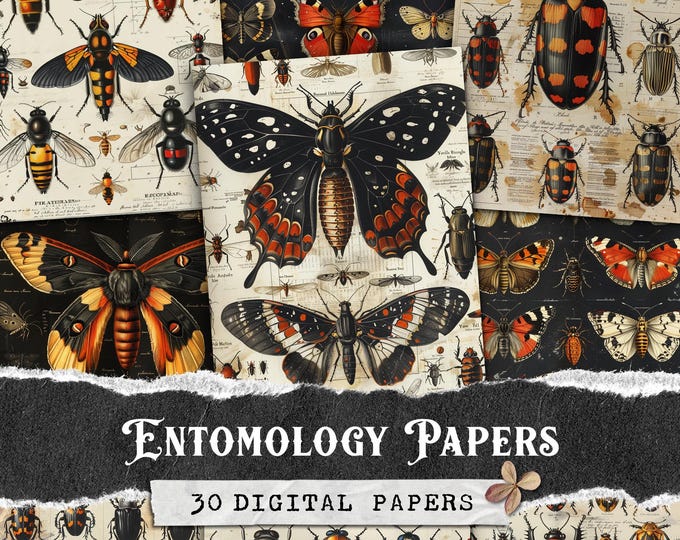 Digital Bugs, Beetles and Bees Instant Download Collage Sheet for Paper ...
