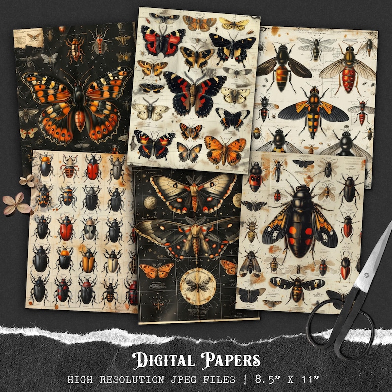 Antique Insect Junk Journal Ephemera Pages, Vintage Entomology Digital ...
