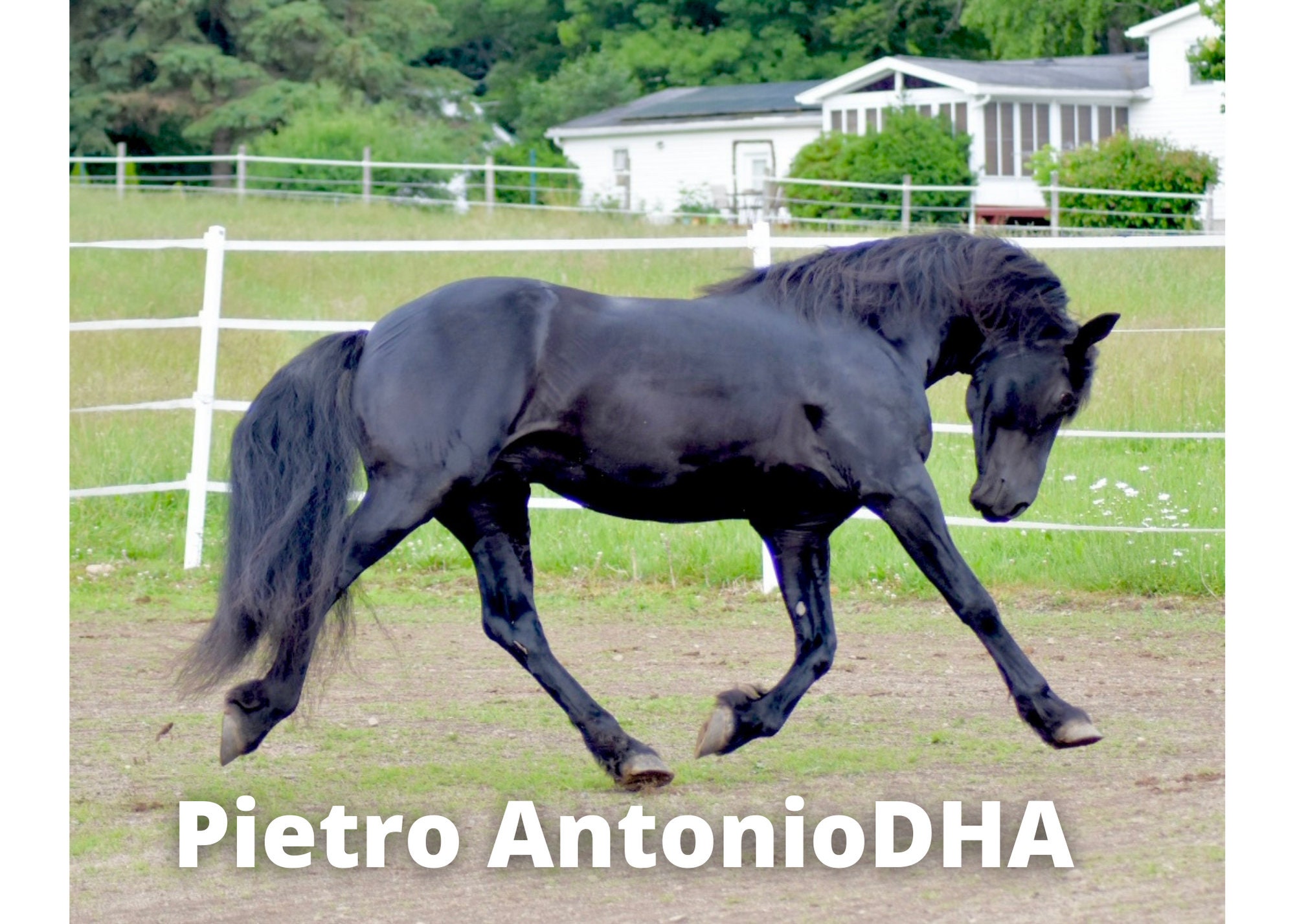 Blank Card Printable Downloadable - Etsy