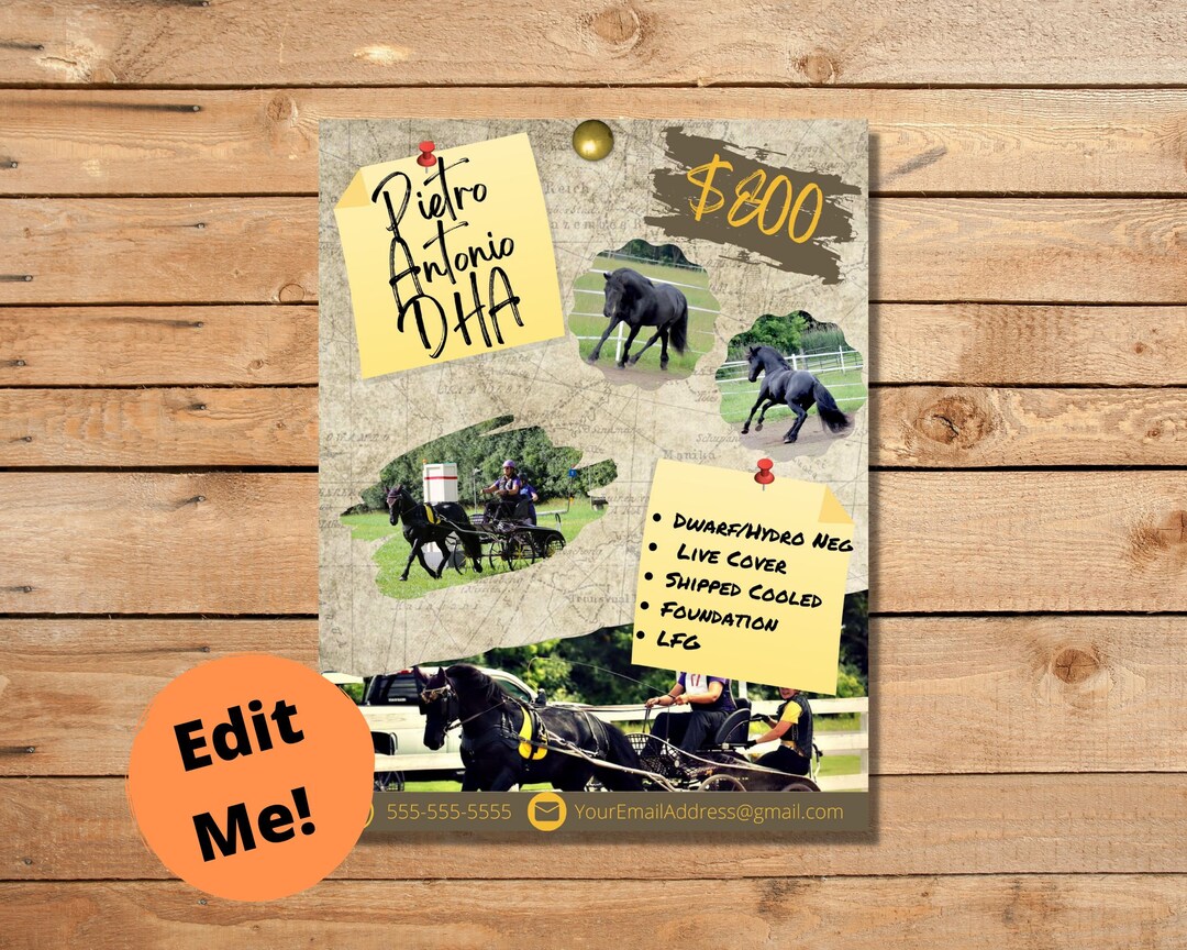 Map Theme Sales Ad - Flyer - Poster - Brochure - Etsy