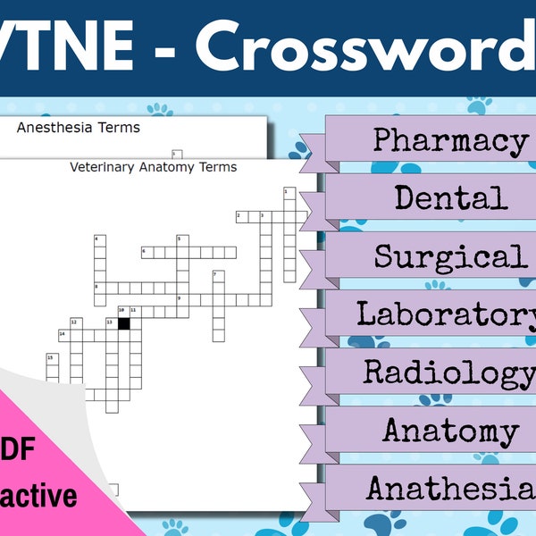 Vtne Study Guide - Etsy